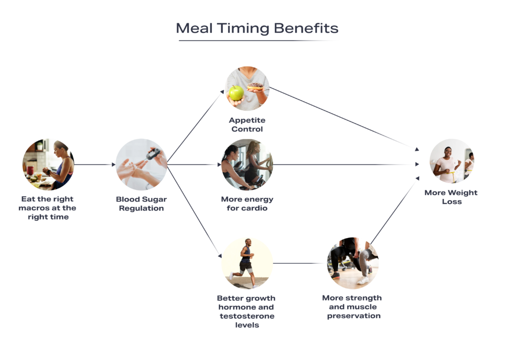Meal timing and why it matters - Pnoe