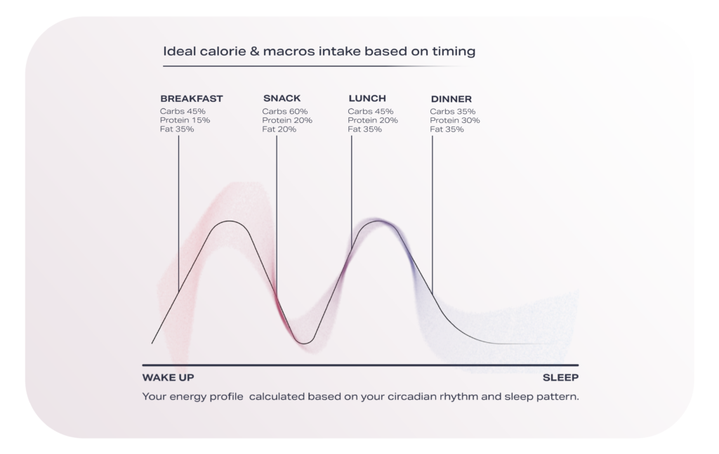 Meal timing and why it matters - Pnoe
