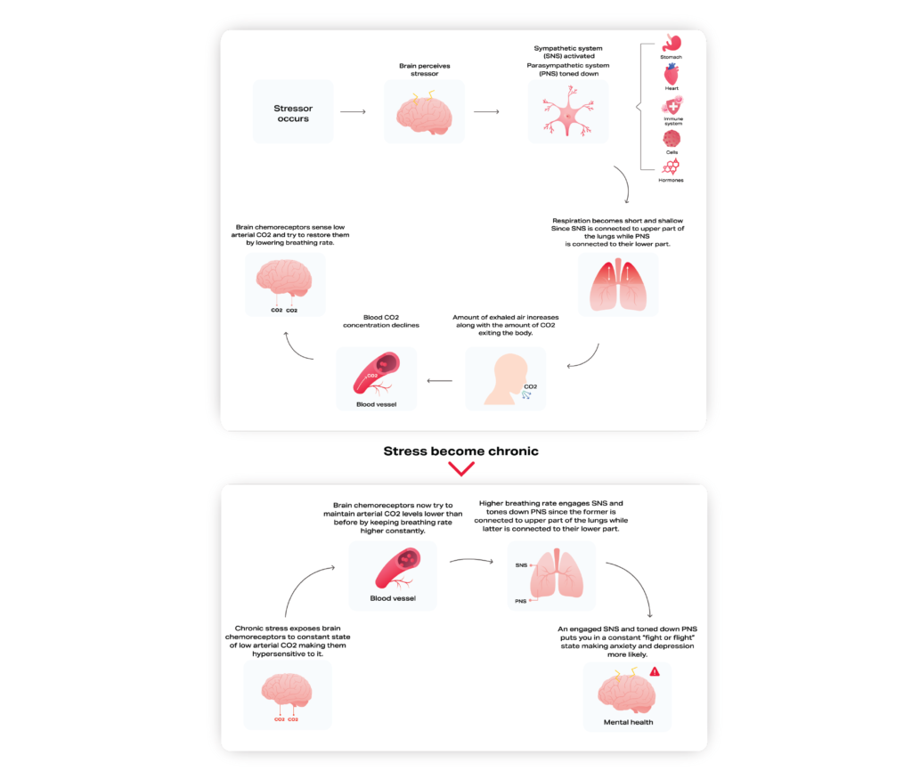 Breathing & Psychological Stress: A two-way street - Pnoe